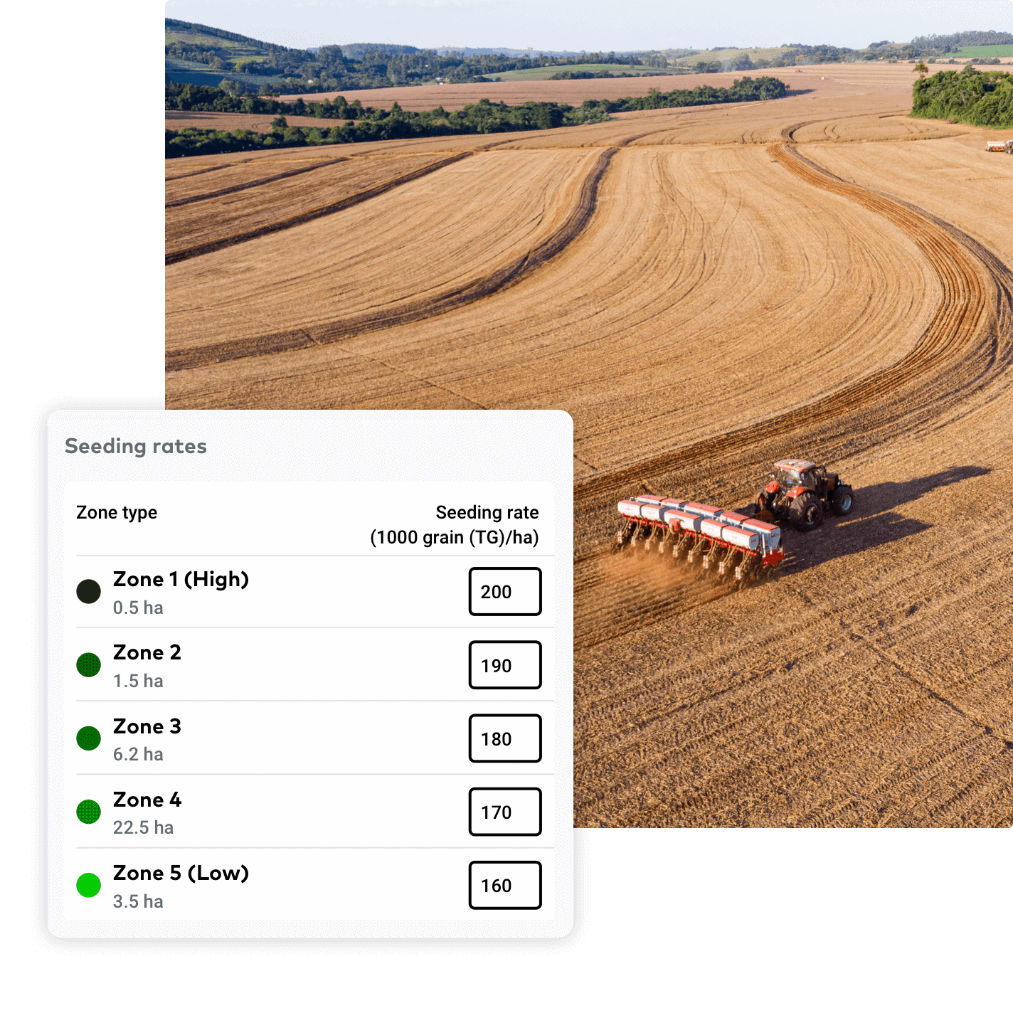 Seeding