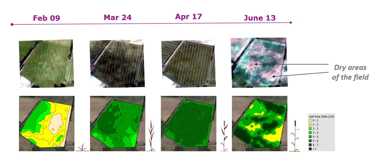 Biomass Maps: optimizing application planning